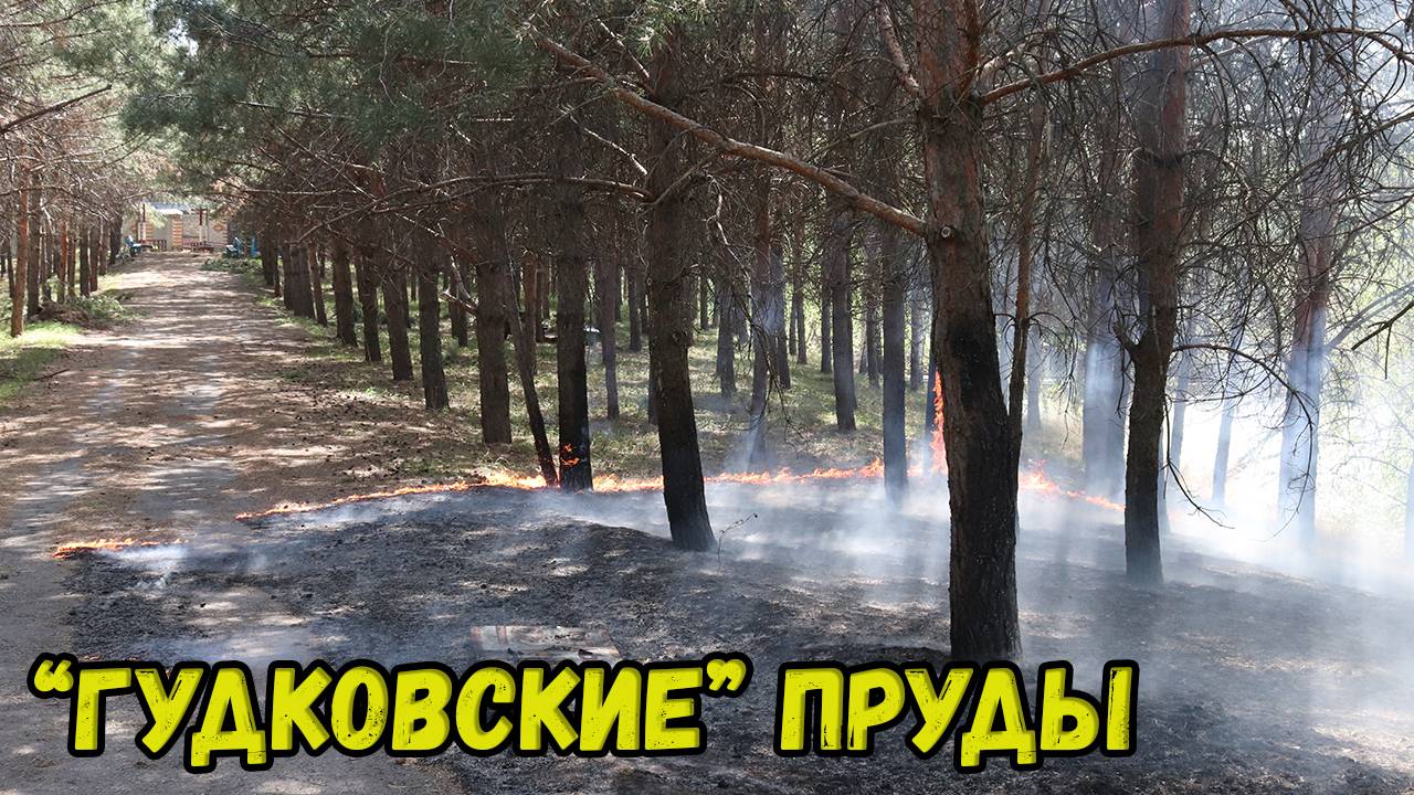 Пожар на "Гудковских" прудах...