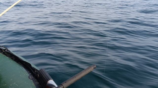 Интересная поклевка камбалы..mp4