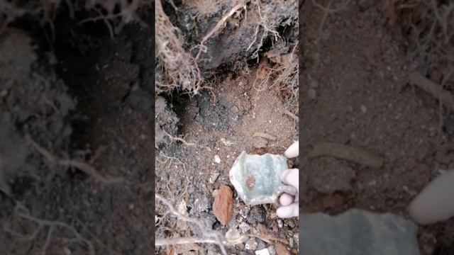 ТАКОЕ НЕ КАЖДЫЙ ДЕНЬ УВИДЕШЬ.