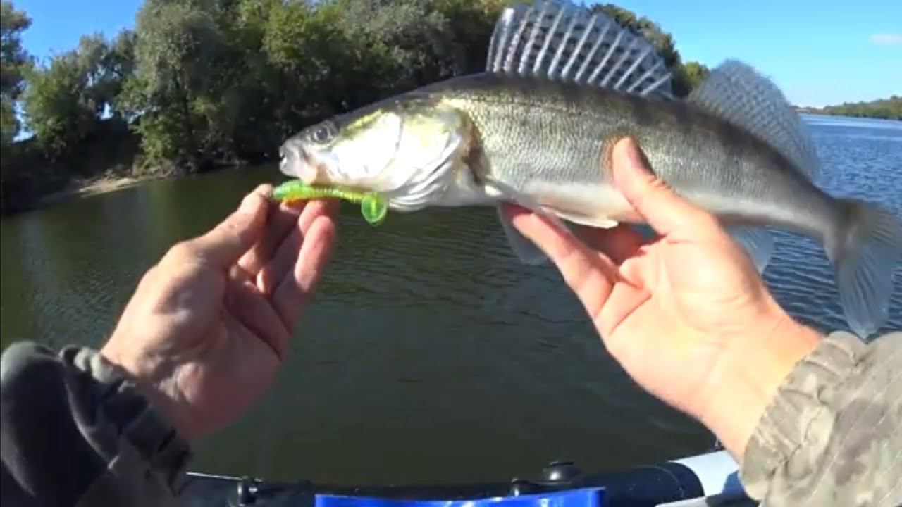 Рыбалка на Оке летом. Эта приманка косит судака. Ловля на спиннинг.
