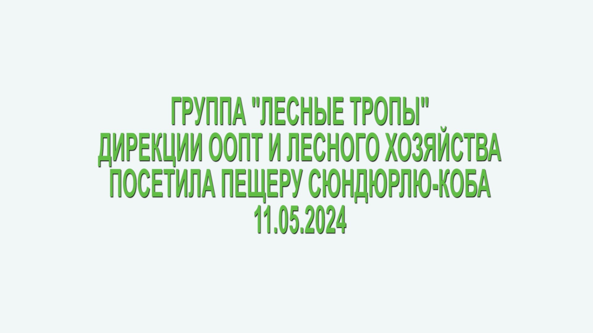 Леса Севастополя. Природа Крыма.