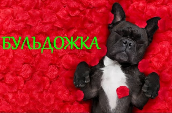 КОЛЫБЕЛЬНАЯ. БУЛЬДОЖКА.