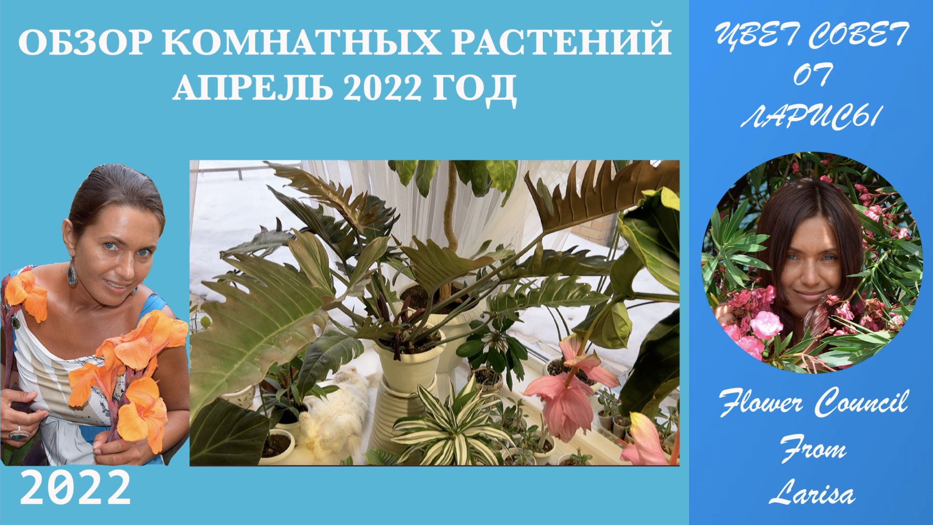 ОБЗОР КОМНАТНЫХ РАСТЕНИЙ АПРЕЛЬ 2022
