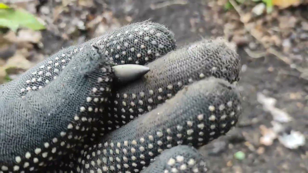 Выскочил в лес на пару часов.