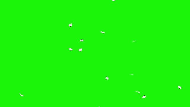 Белые бабочки на зеленом фоне. Футаж для монтажа