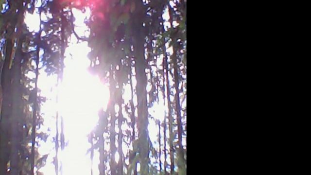 ОСЕННЯЯ ПЕСНЯ. Зарисовка с натуры..mp4