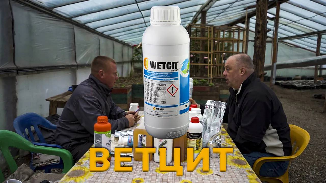 Ветцит для выращивания самой большой тыквы🎃