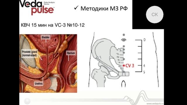 КВЧ терапия в андрологии и гинекологии