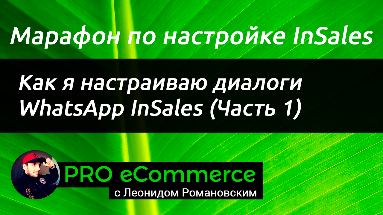 Как я настраиваю диалоги WhatsApp в InSales (Часть 1)