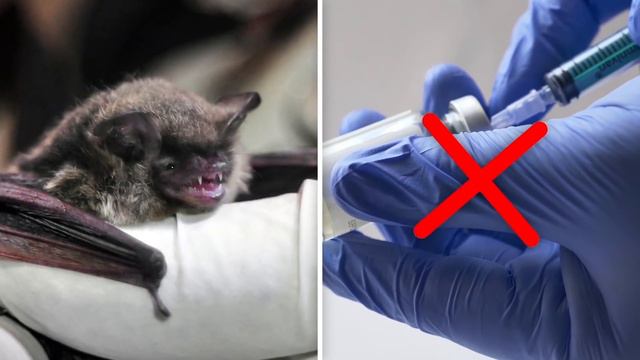 Люди, Которые Пережили Невероятное. Часть 5