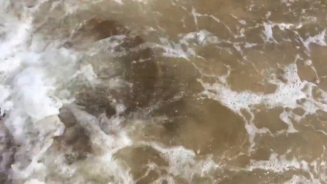 Большая медуза во Вьетнаме