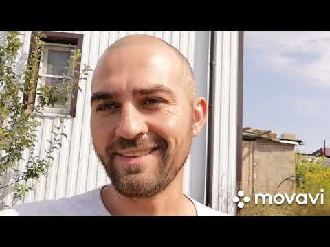 У меня теперь появились поросята