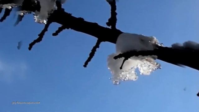 Весна в моей груди! Стихи Ольги Сухина!