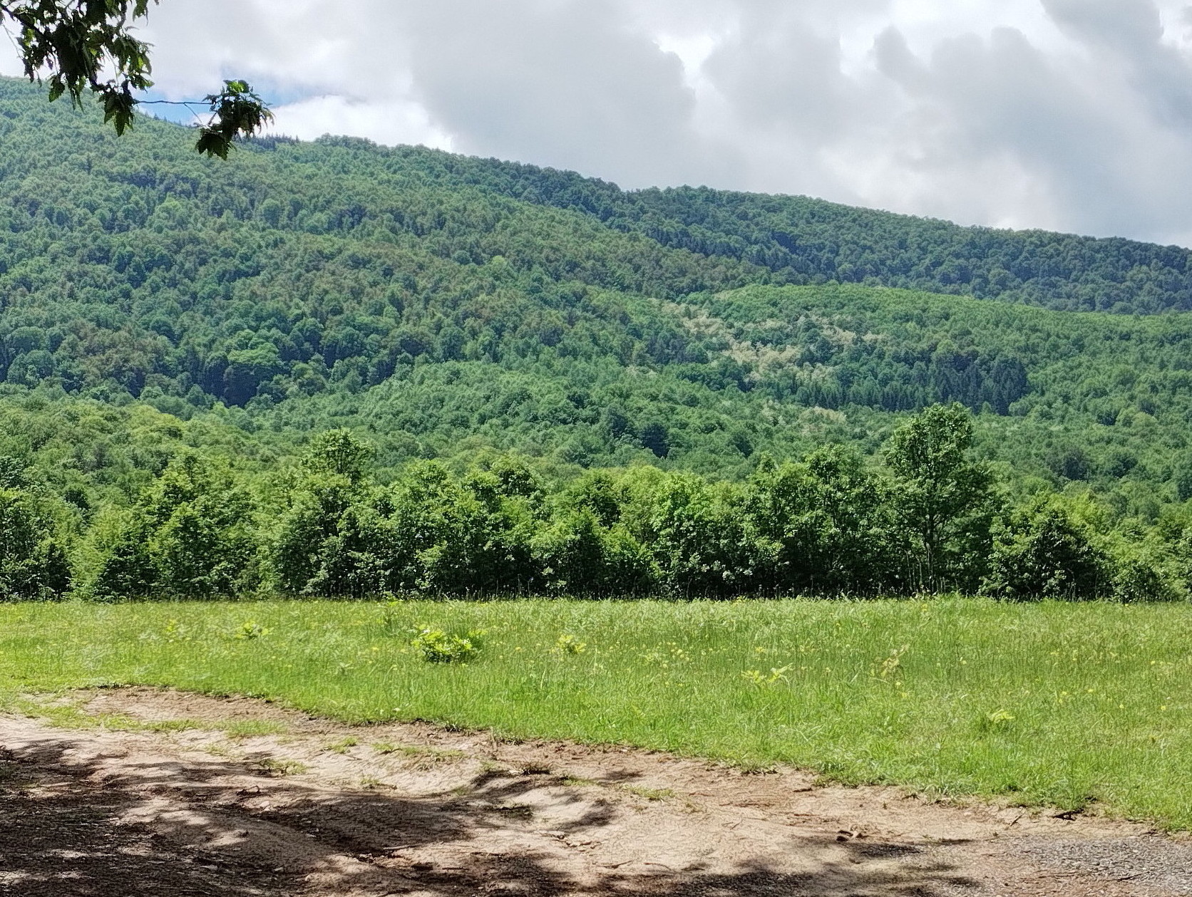 В СЪРЦЕТО НА БЪЛГАРИЯ /част 139/. Рибарица, община Етрополе