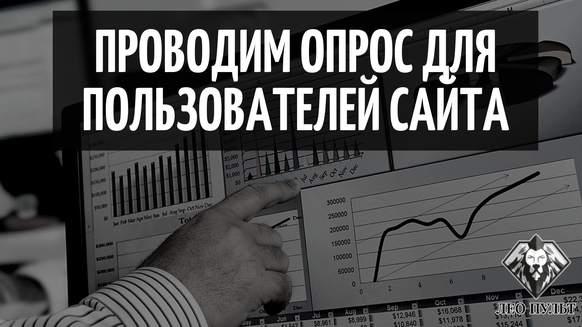 Проводим опрос посетителей сайта