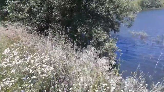 На рыбалку в Ушинке на речку.