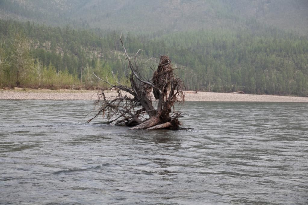 "  ОЗЕРО С ЧЕРТЯМИ"   ИСТОРИЯ ИЗ ЖИЗНИ