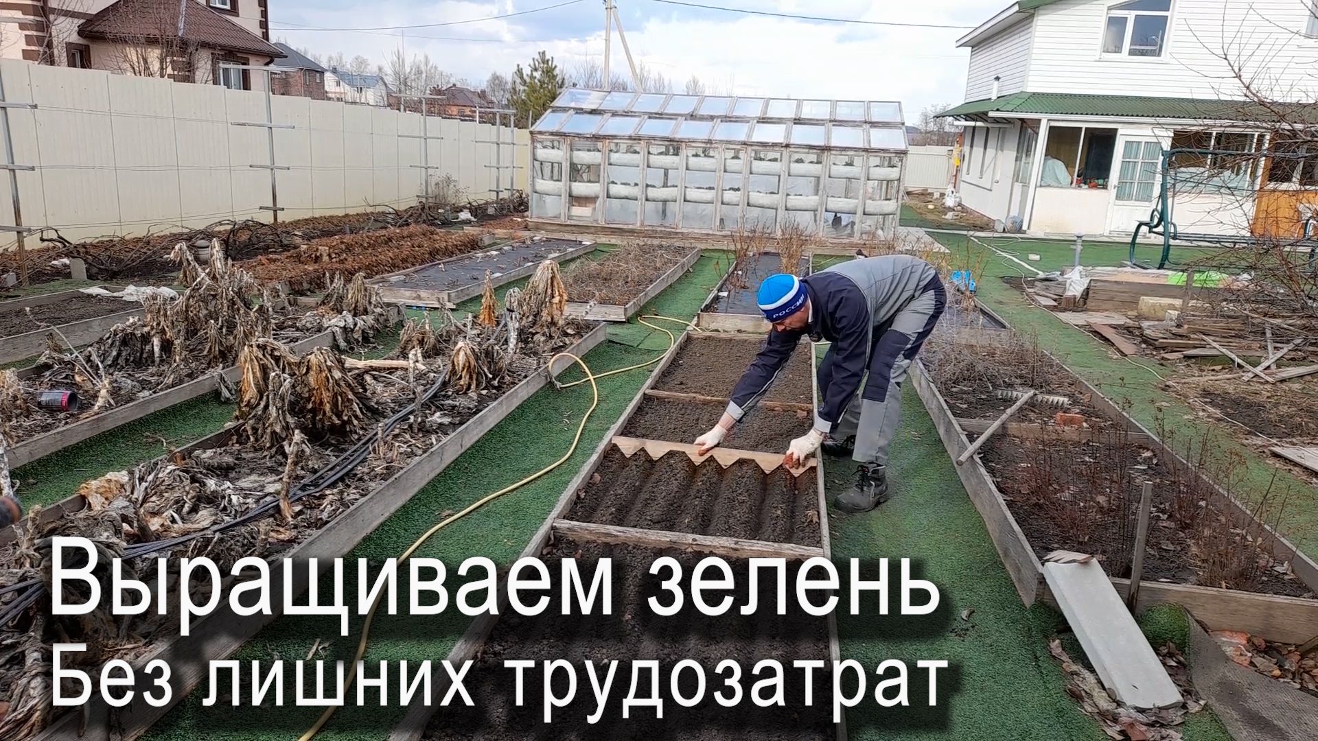 Выращиваем зелень без лишних трудозатрат. При таком способе всходит всё #ТриЭкоОгород