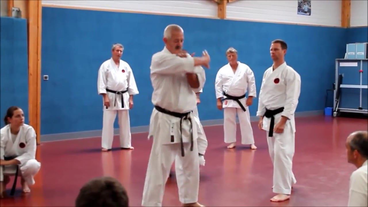 Sensei Bakkies Laubscher. France 2014.