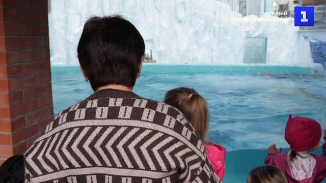 В зоопарке Екатеринбурга открыли новый вольер для белых медведей