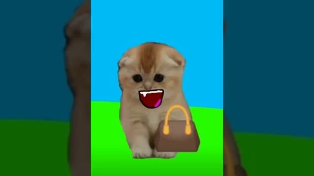 Недели котёнок Shorts (9)
