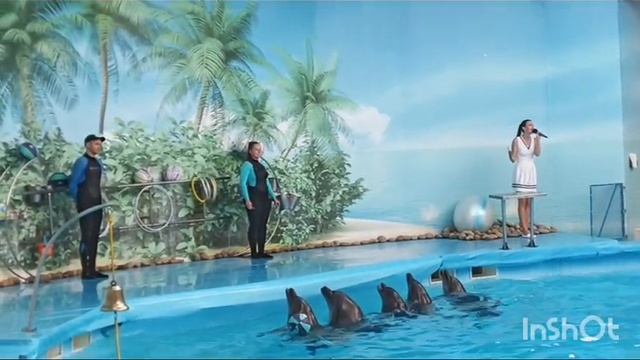 Феодосийский дельфинарий часть 5-я.