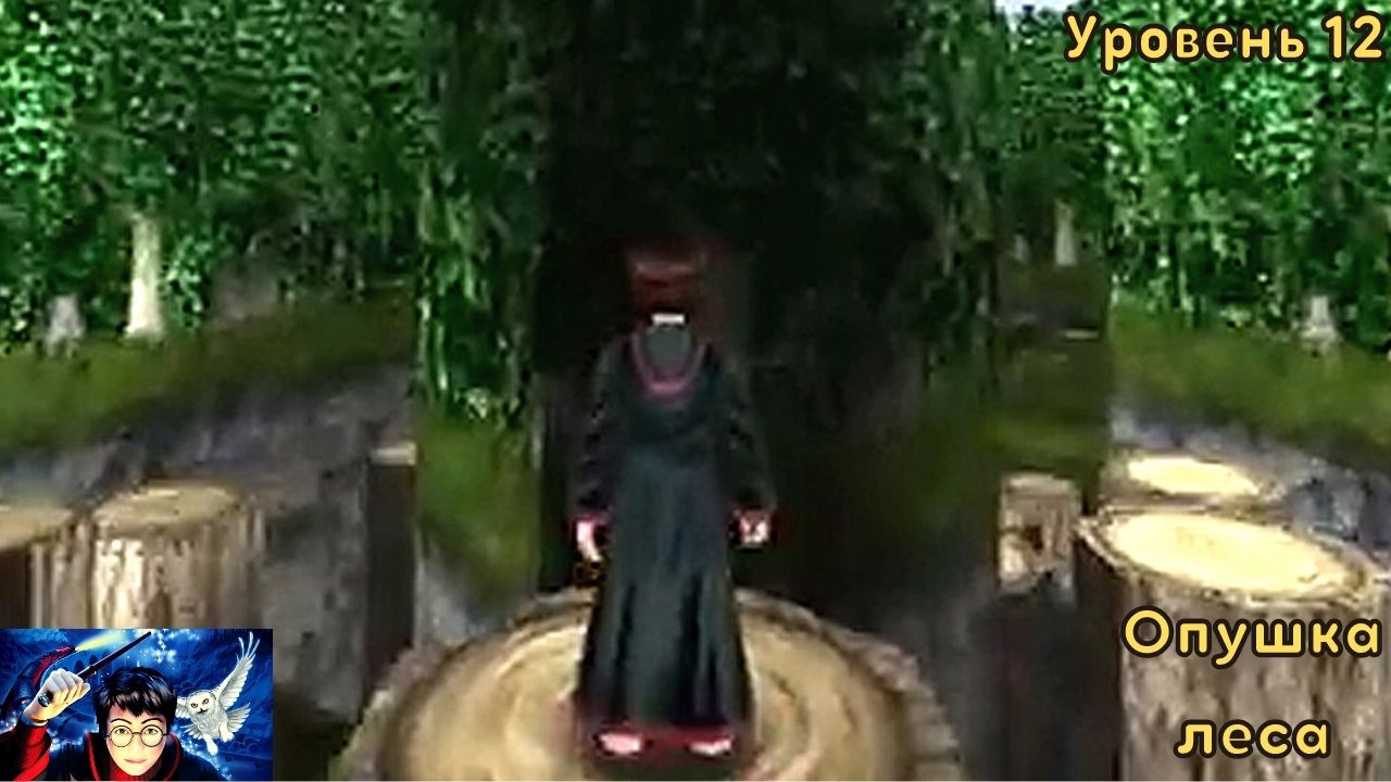 Harry Potter And The Philosopher's Stone - Уровень 12 - Опушка леса
