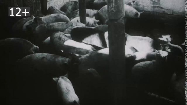 Без срока давности