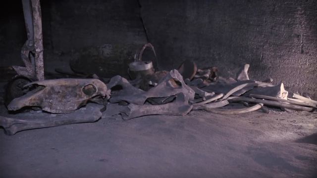 Документальный фильм «Огонь нестареющих сердец»