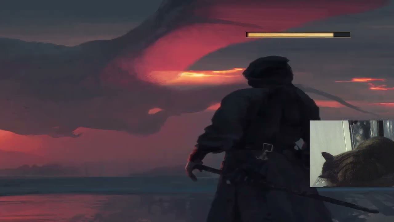 Renovation / Реновация 14 - Арбаль