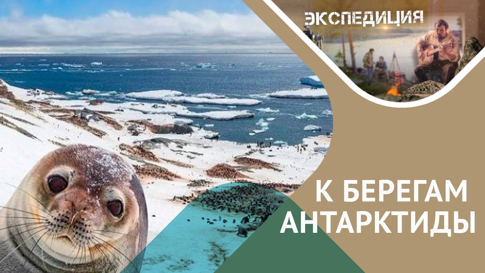 ЭКСПЕДИЦИЯ _ К БЕРЕГАМ АНТАРКТИДЫ вместе с Данисом Карловичем