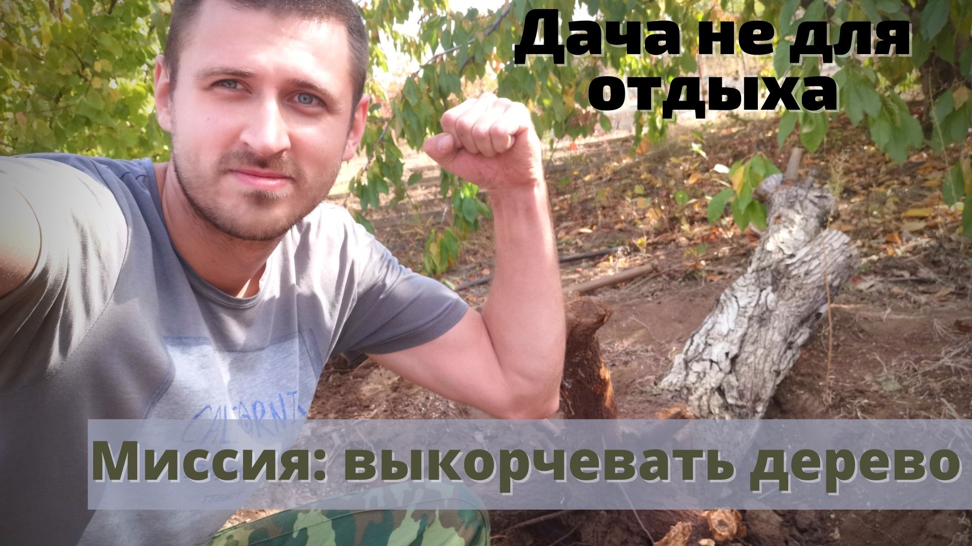 Как правильно, легко и быстро выкорчевать дерево своими руками