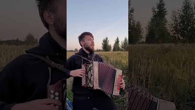В поле вечером звучит песня #артистымосква #казаки #народнаяпесня #песня #фольклор #ОлегБалунц #топ