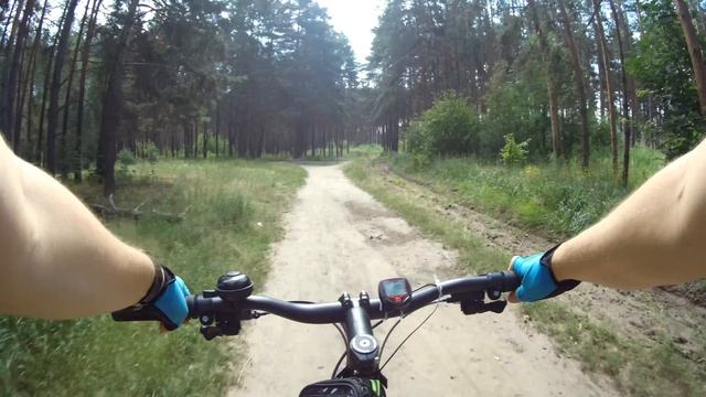 Велопокатушка №15. Леса на 9 января.