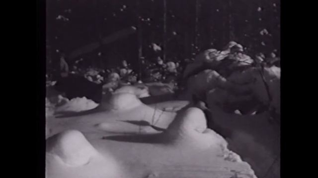 "Охотничья хроника 40-х гг.". Видеоприложение №12 часть 2 к журналу «Сафари»
