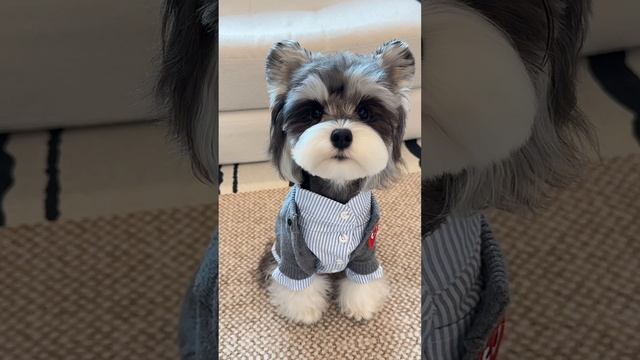 02-03-2024 собакен