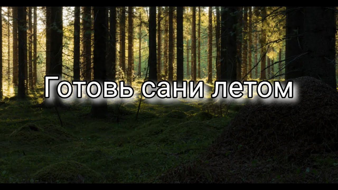 Соколка. Готовь сани летом.