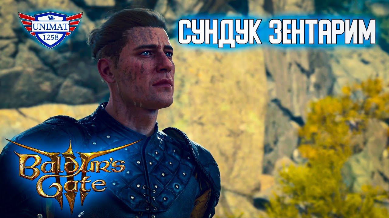 ГРУЗ ОРГАНИЗАЦИИ ЗЕНТАРИМ | BALDUR'S GATE 3 | #12