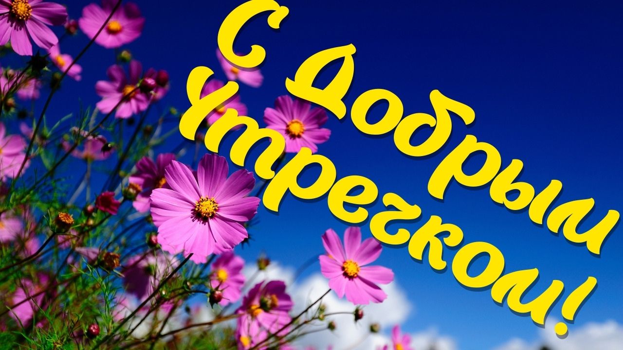 С добрым утречком! Обалденная открытка пожелание с добрым утром с красивейшей музыкой!