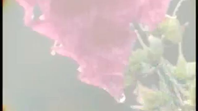 Armin van Buuren, Perpetuous Dreamer - The Sound of Goodbye (Tribal Feel Edit) + Lyrics (2011)