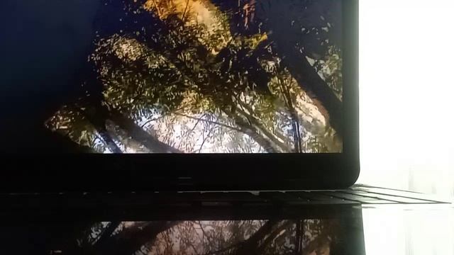 Реакция на моё видео ответы на вопрос