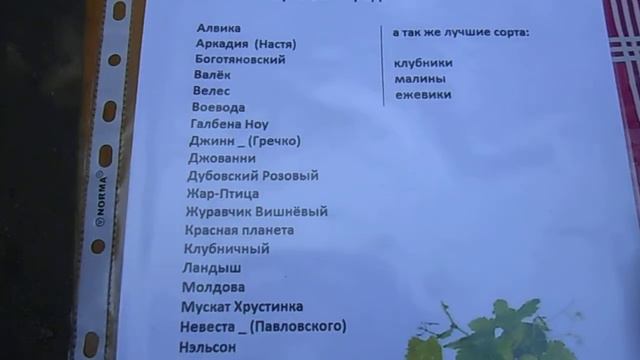 Выставка Винограда В Донецке _04.09.2021 5 Часть