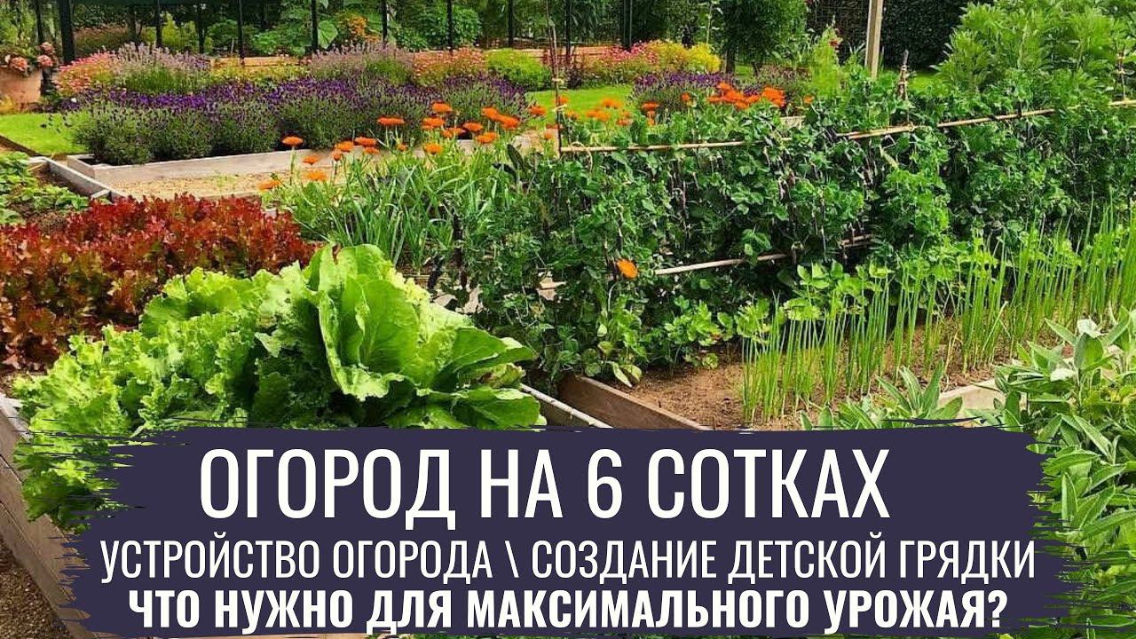 Огород на 6 сотках \ Современный огород