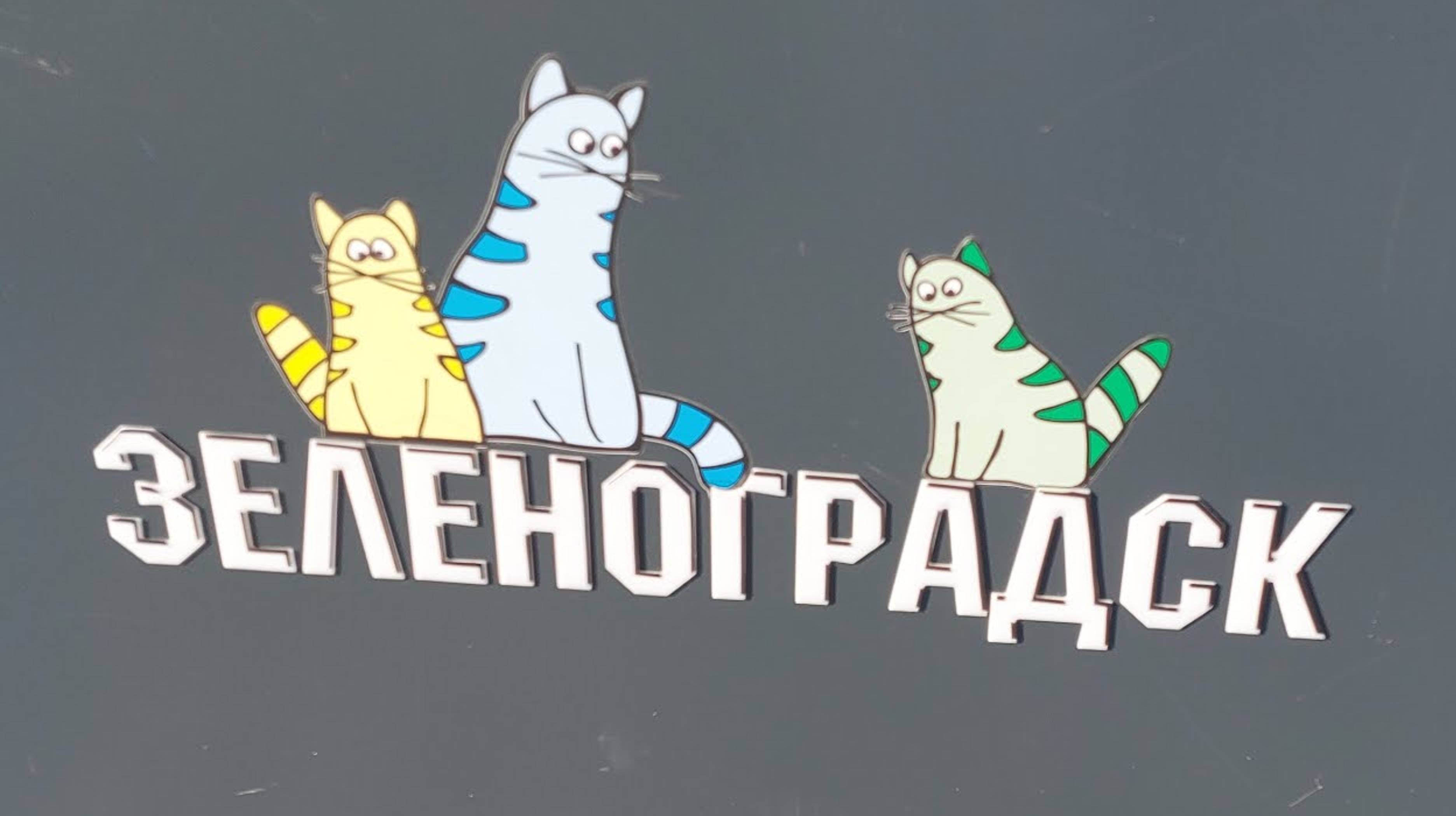 Мой отпуск. Прогулка по Зеленоградску.День второй. Часть 1. Утро. Идем на пляж.