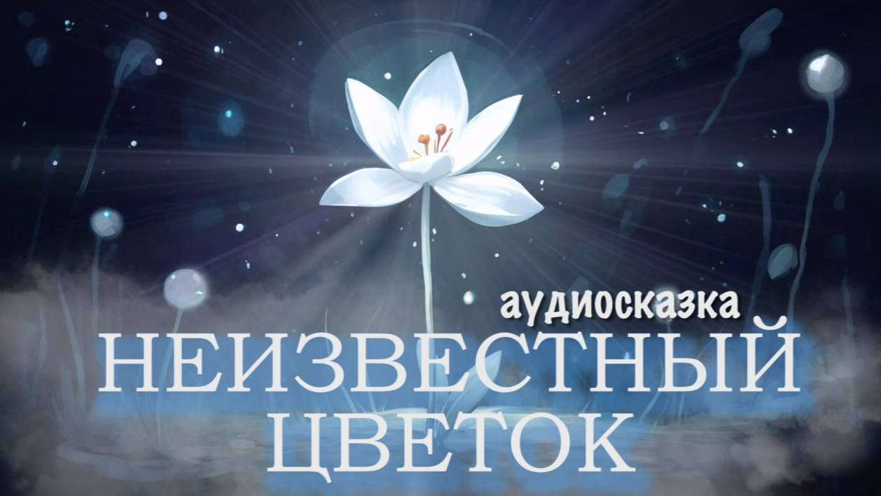 Неизвестный цветок | Сказка на ночь | Аудиосказка