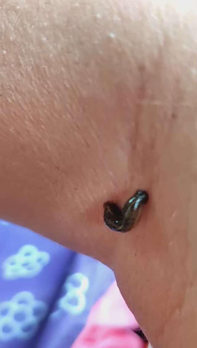 Я вся в Пиявках на Шри-Ланке после падения под мостом. Экскурсия Элла. Цейлон. Канал Тутси влог.