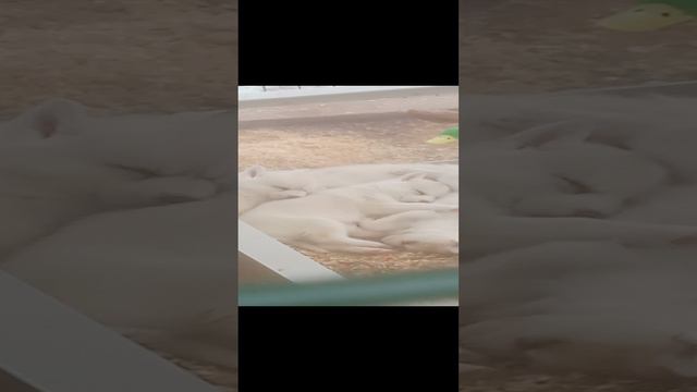 Моё первое видео