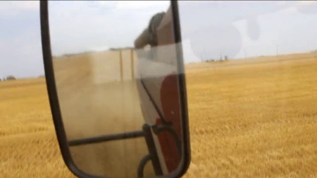 132_Поклонитесь хлебу русскому