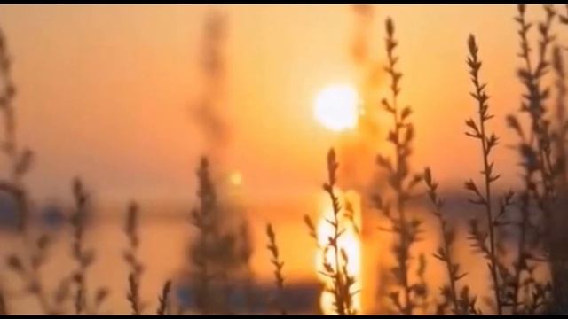 Судьба нам лишних не даёт