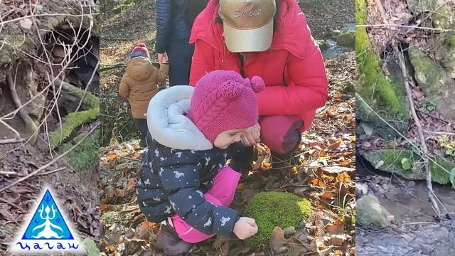 Как привить детям истинное желание проявлять уважение к природе и беречь ее. Академия Дети Индиго.